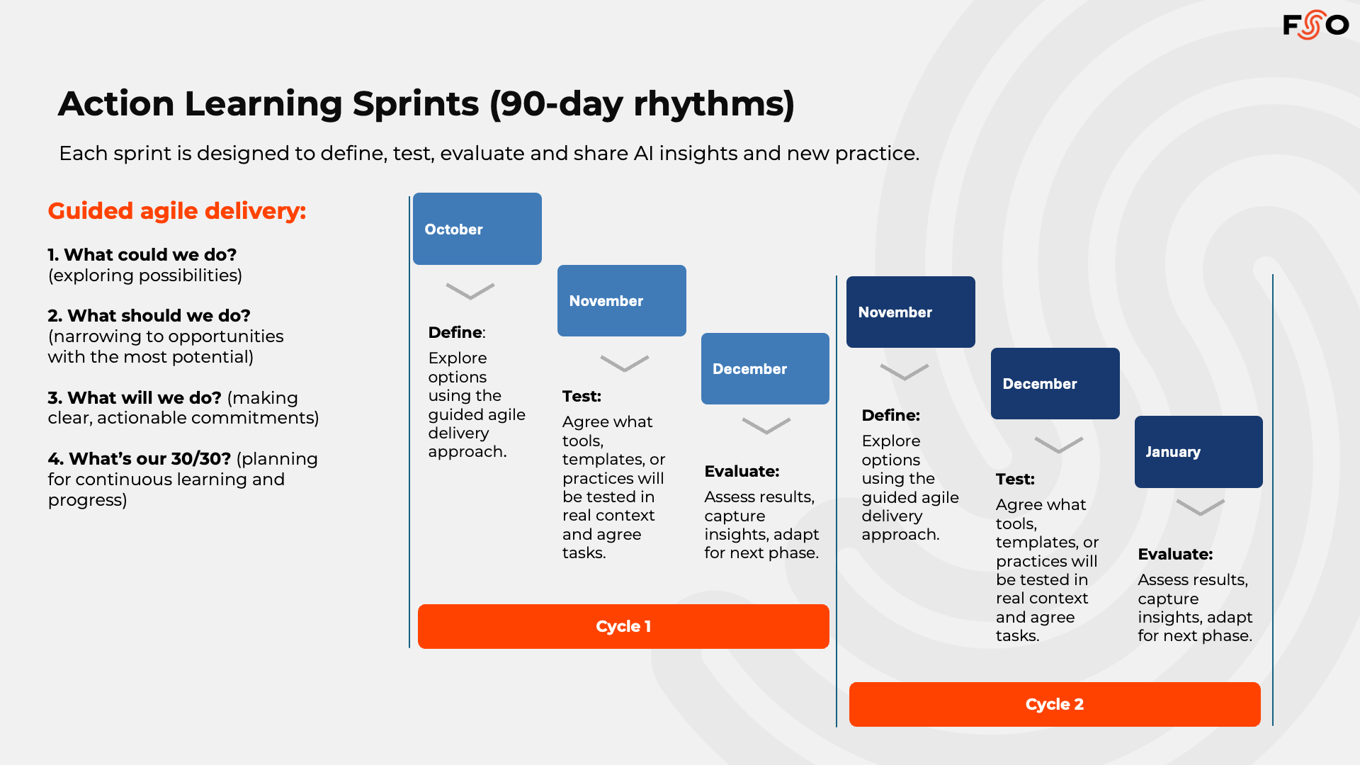 Skills Accelerator-AI - Future Skills Organisation